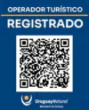 Buquebus | ¡Viajá a Buenos Aires en los mejores Barcos! Pasajes desde ...